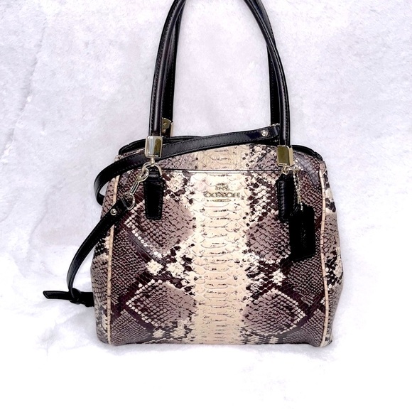 Coach | Bags | Coach Minetta Snakeskin Python Convertible Crossbody ...